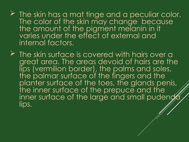 Dermatology and it's tasks skin anatomy .pptx