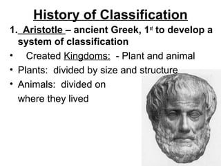 5.05 classification and scientific names | PPT