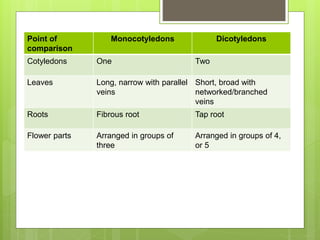 1 classification of living things 2019 | PPTX | Gardening | Home & Garden