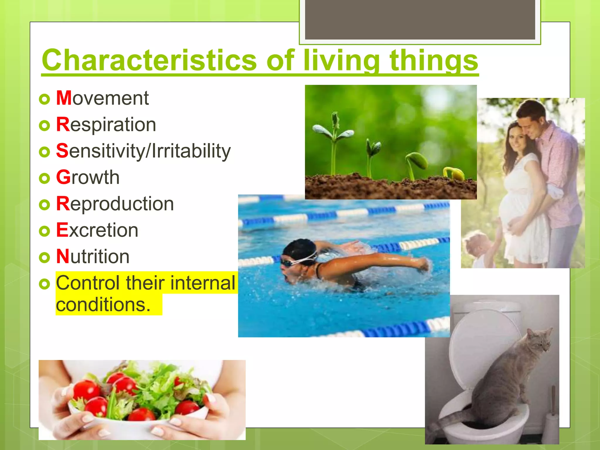1 Classification of living things Edexcel 2019 | PPTX