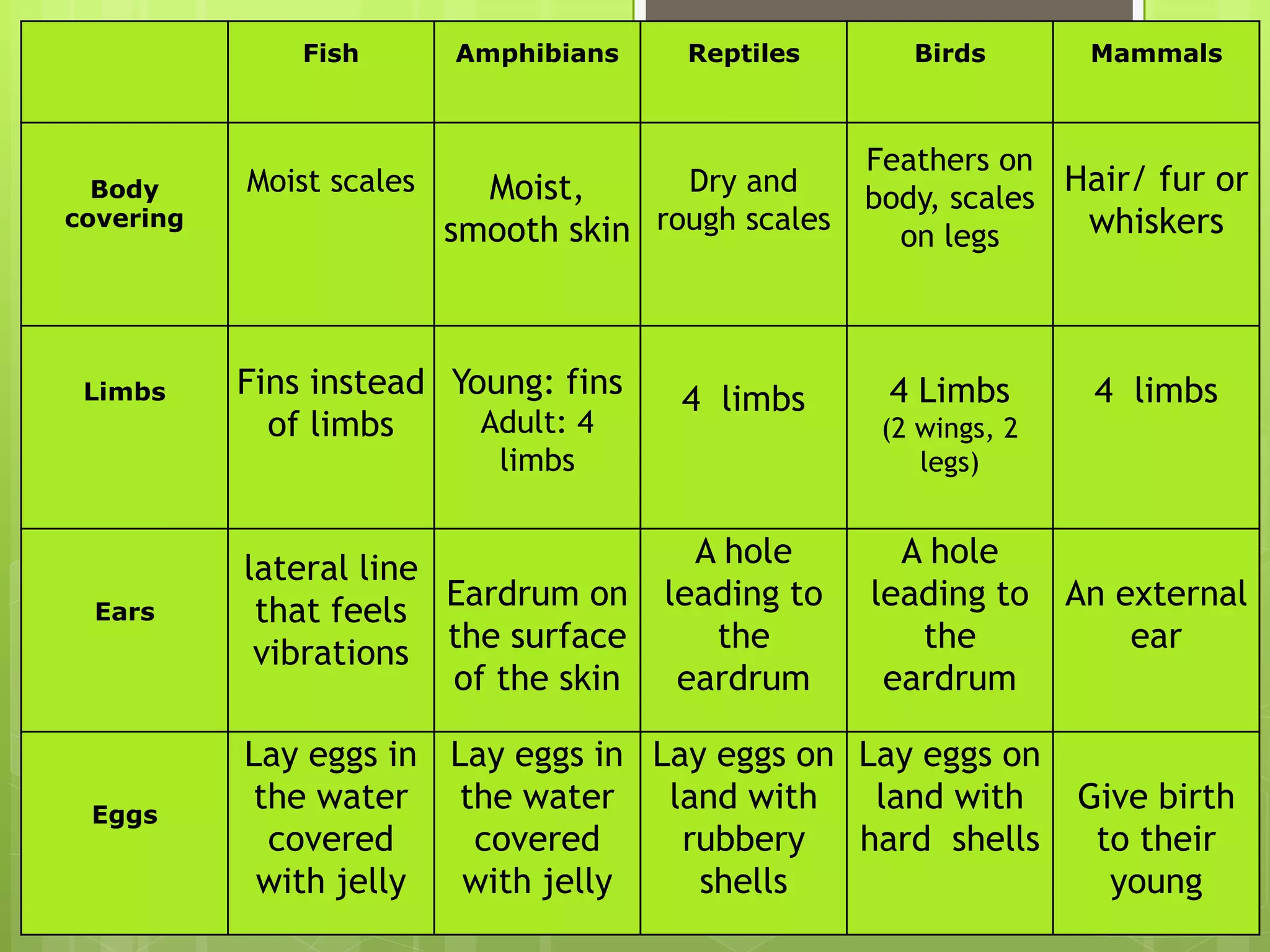 1 classification of living things gr6 2018 | PPTX