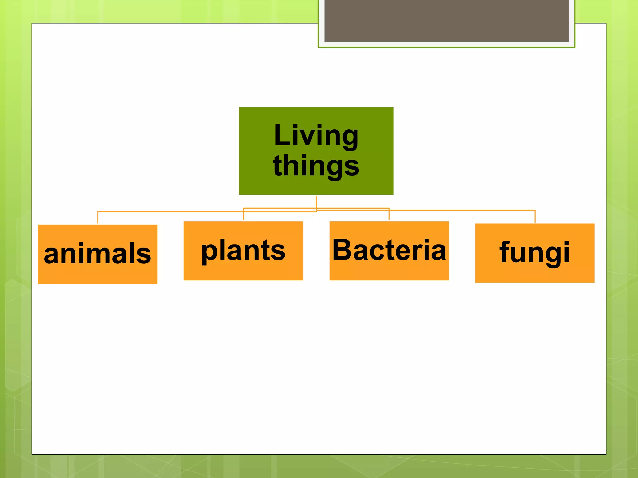 1 classification of living things gr6 2018 | PPTX