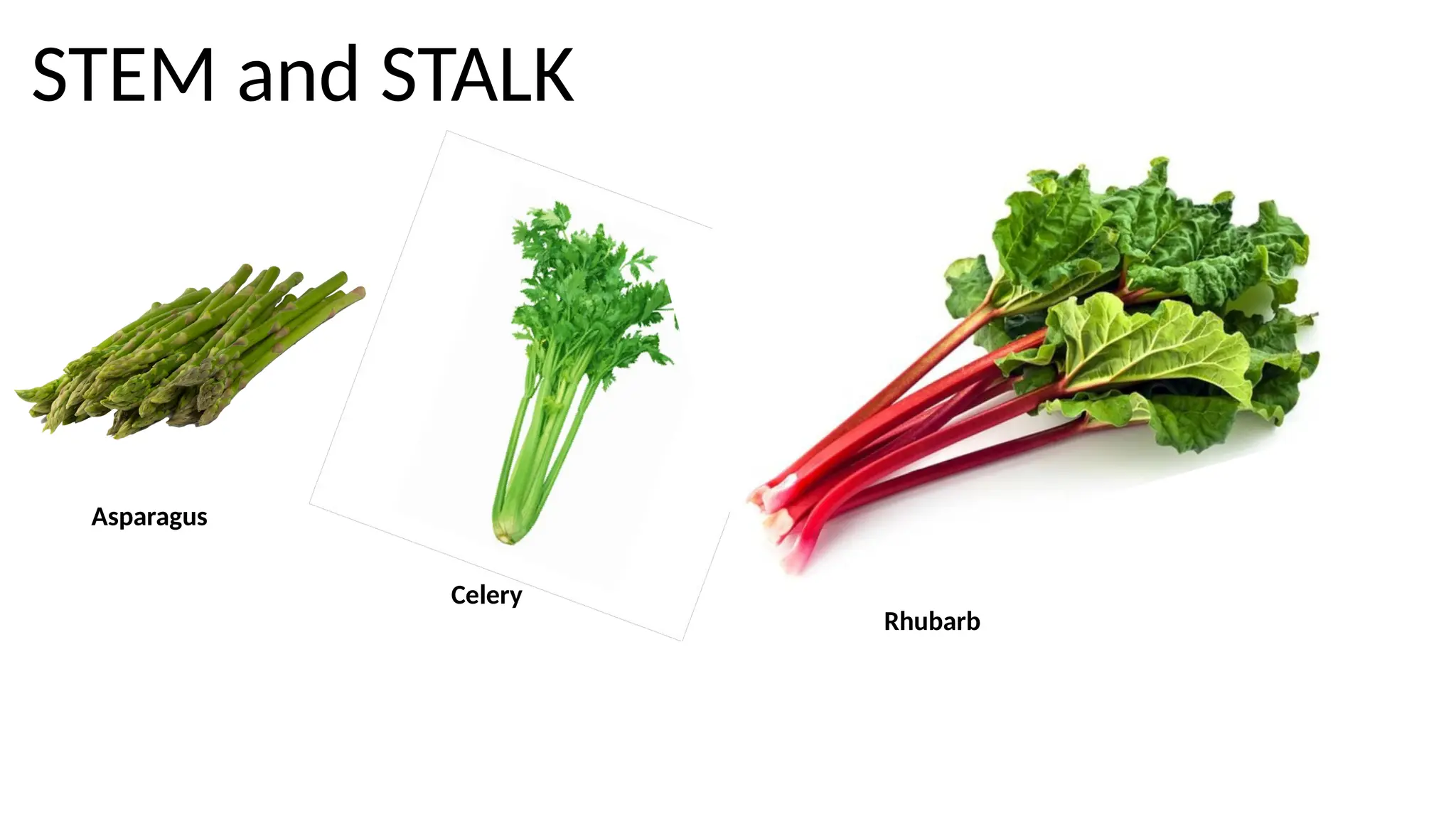 1 CLASSIFICATION OF VEGETABLES according to parts of the plants | PPTX