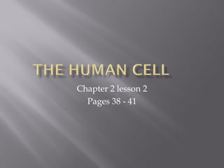 1_class_The_Human_Cell...............ppt