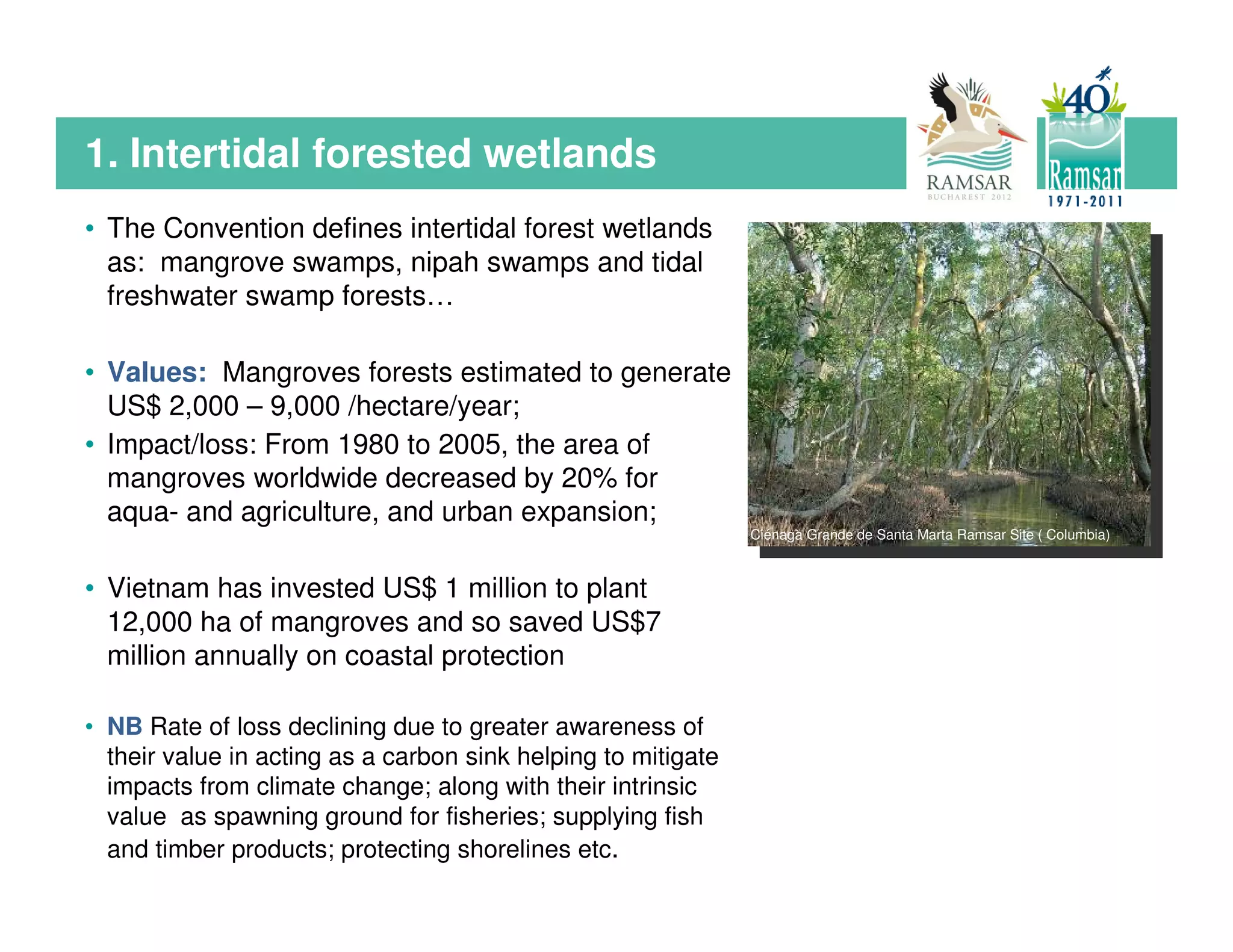 The Ramsar Convention and the Conservation and wise use of forested ...
