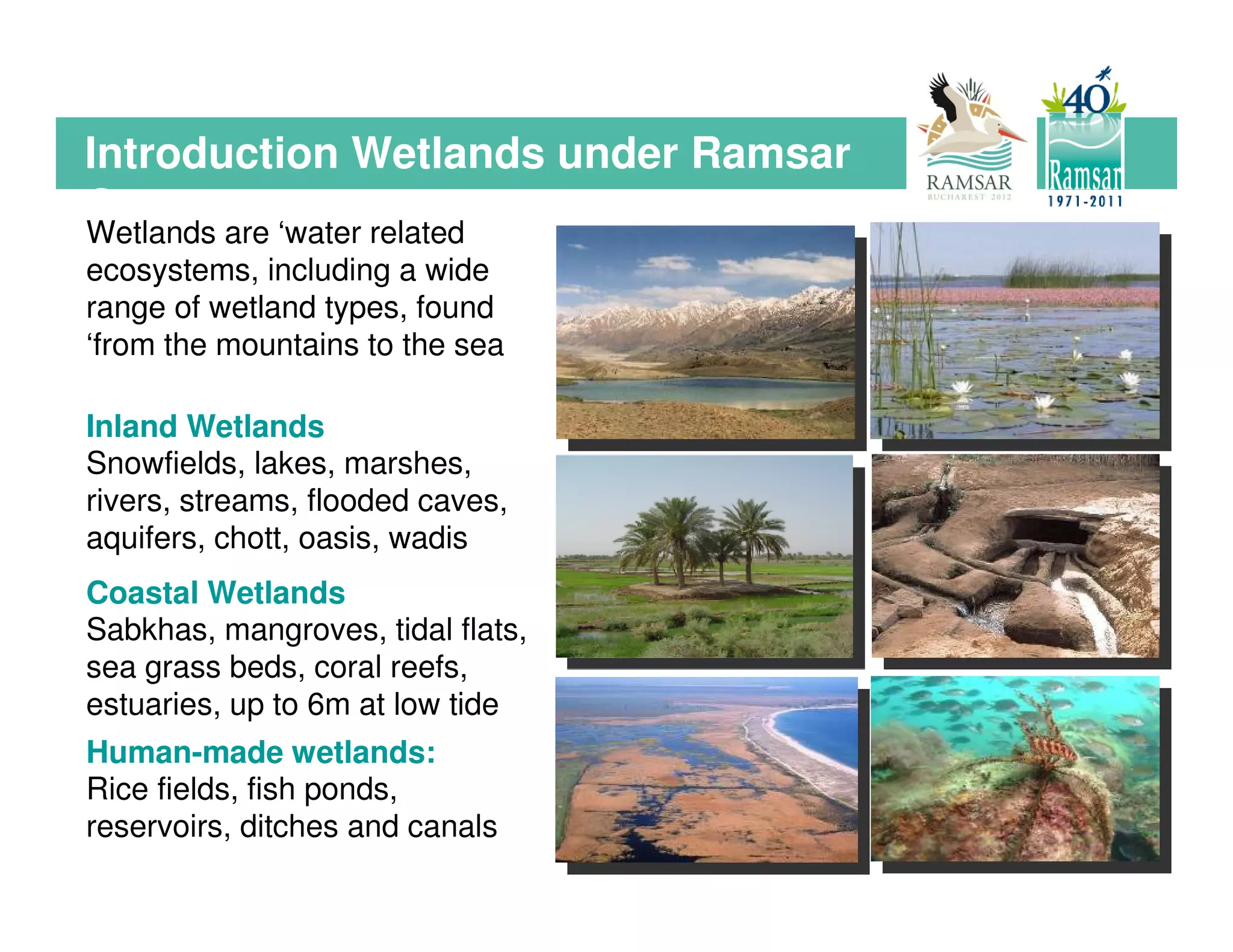 The Ramsar Convention and the Conservation and wise use of forested ...