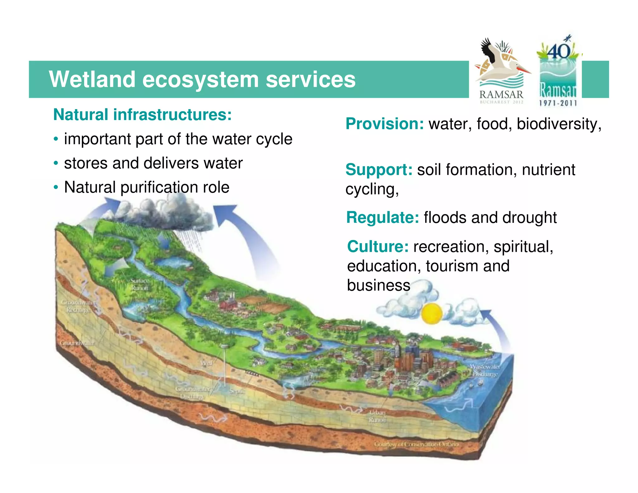 The Ramsar Convention and the Conservation and wise use of forested ...