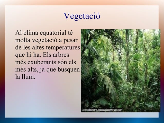 1 clima equatorial nerea trujillo 1r b | PPT