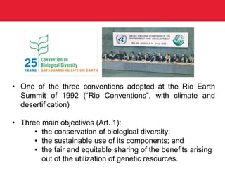 The Road to Cali. Dr. Aleksandar Rankovic | PPT