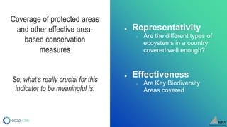 The KM-GBF monitoring framework –status & key messages. Joachim Töpper ...