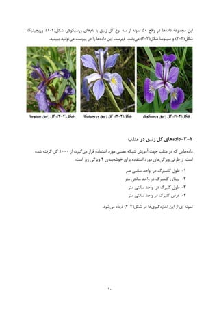 Classification of Iris flower data | PDF