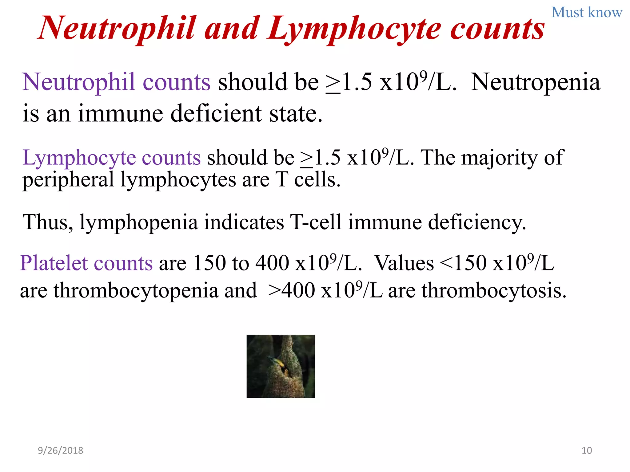 1 complete blood counts.ppt