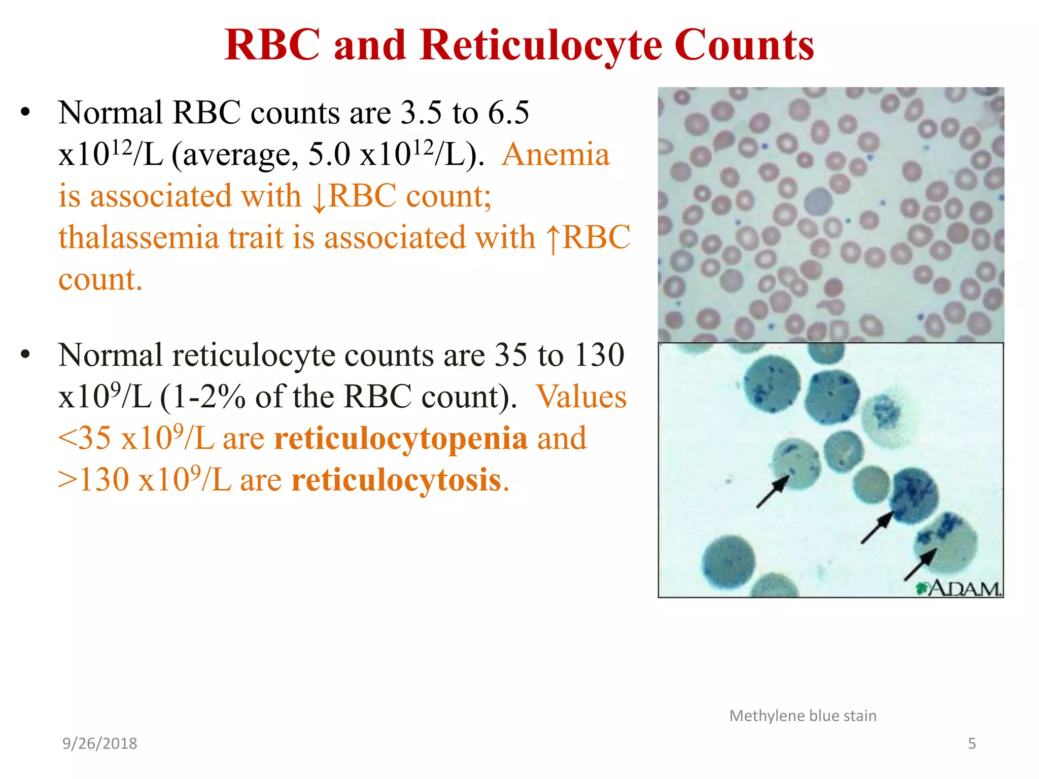 1 complete blood counts.ppt