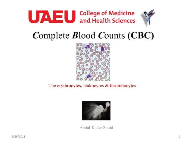 1 complete blood counts.ppt