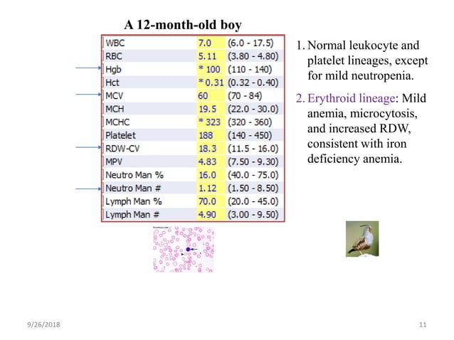 1 complete blood counts.ppt