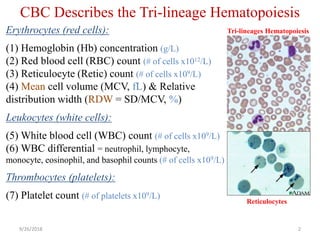 1 complete blood counts.ppt