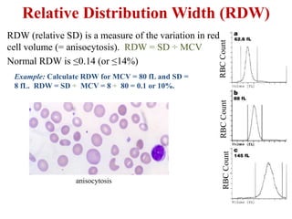 1 complete blood counts.ppt