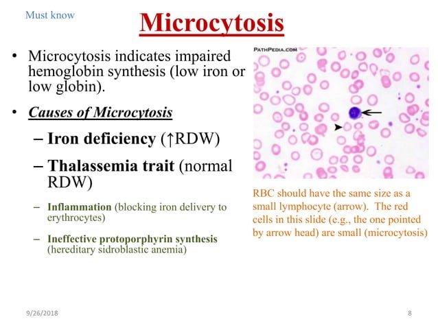 1 complete blood counts.ppt