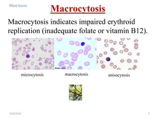 1 complete blood counts.ppt