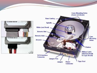 1 Computer Orientation Basic Info.ppt