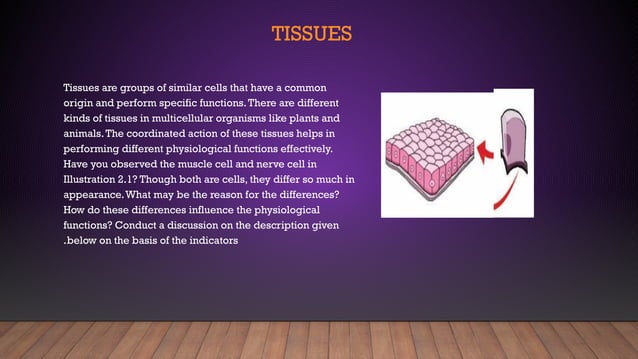 1 computer – versatile machine.pplkjouyolkjkjhhktx | PPT