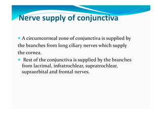 1 Conjunctiva.pdf