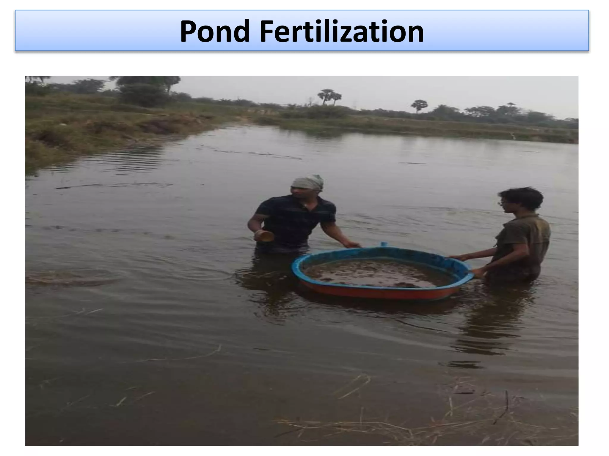 1 construction, preparation of ponds, seed, feed & health management of imc fish seed in nursery ...