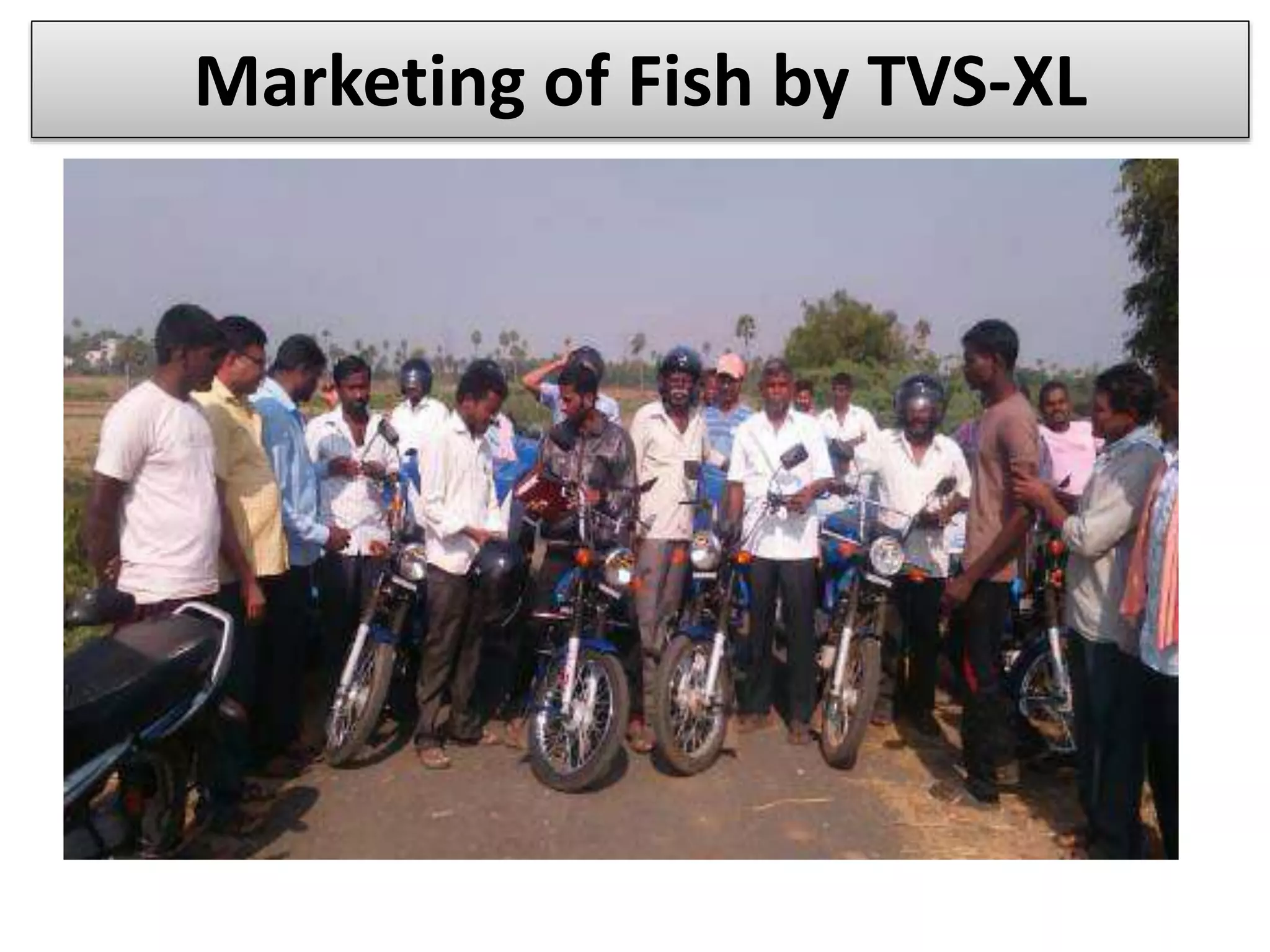 1 construction, preparation of ponds, seed, feed & health management of ...