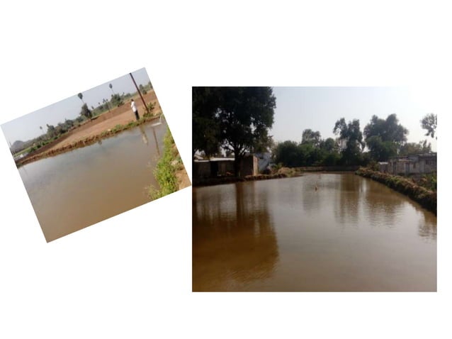 1 construction, preparation of ponds, seed, feed & health management of ...