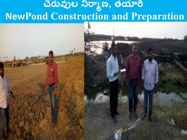 1 construction, preparation of ponds, seed, feed & health management of ...
