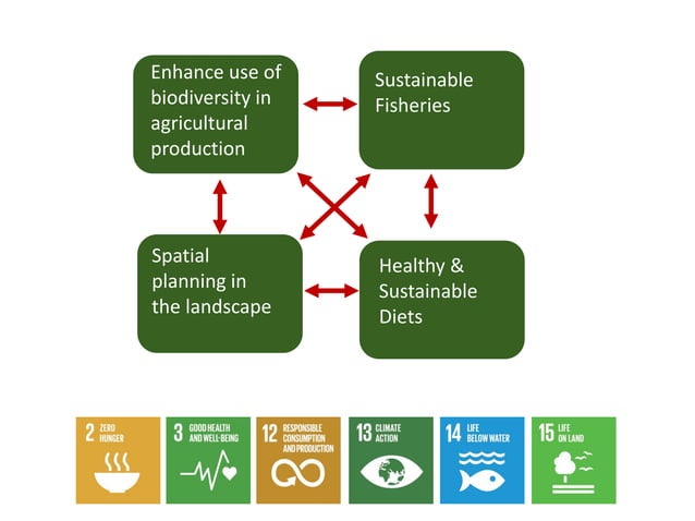 Multi-stakeholder Dialogue on Biodiversity Mainstreaming across ...