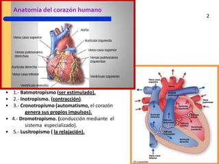 1 corazon | PPTX