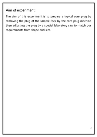 Core plug test | DOCX