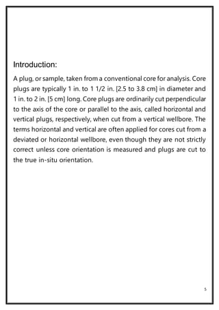 Core plug test | DOCX