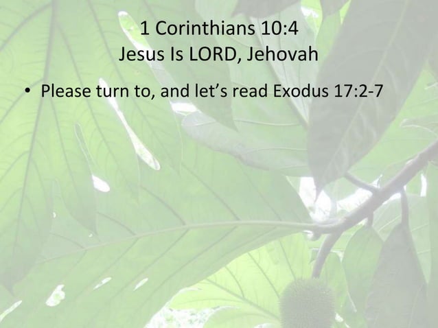 1 Corinthians 10;10, Moses Gave Land; Spiritualizing; The Spiritual ...