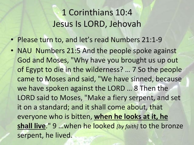 1 Corinthians 10;10, Moses Gave Land; Spiritualizing; The Spiritual ...