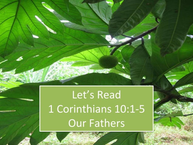 1 Corinthians 10;10, Moses Gave Land; Spiritualizing; The Spiritual ...