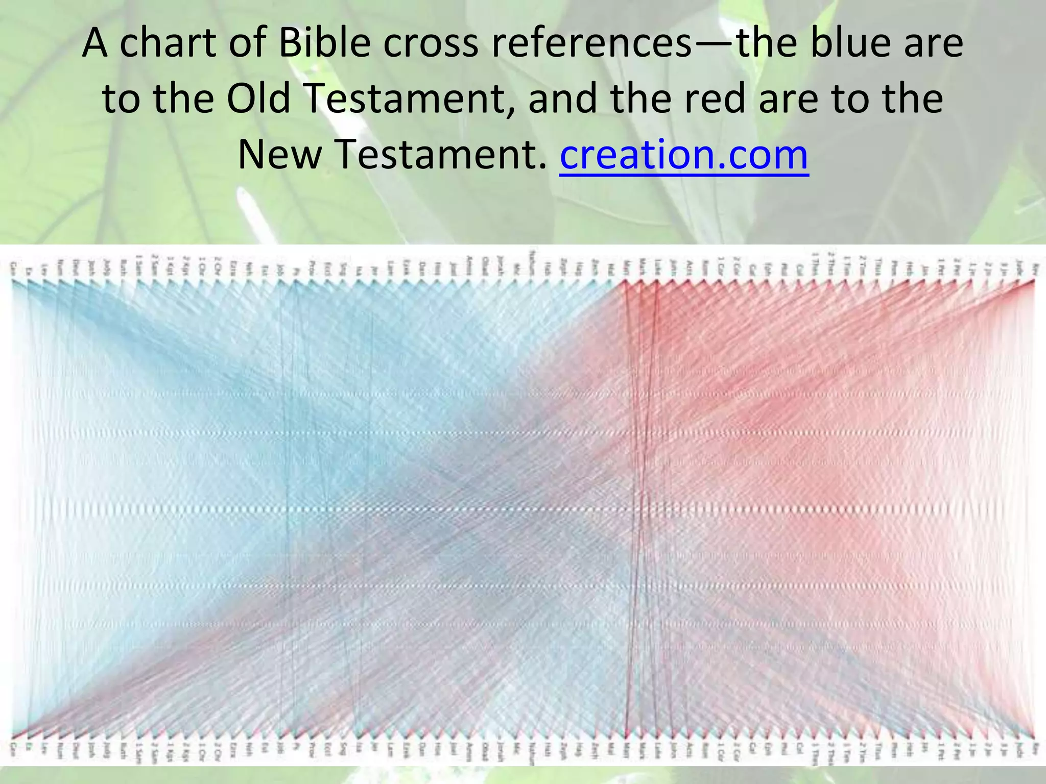 1 Corinthians 10;11-33, Scripture is example; OT NT Bible Cross References; Love Help One ...