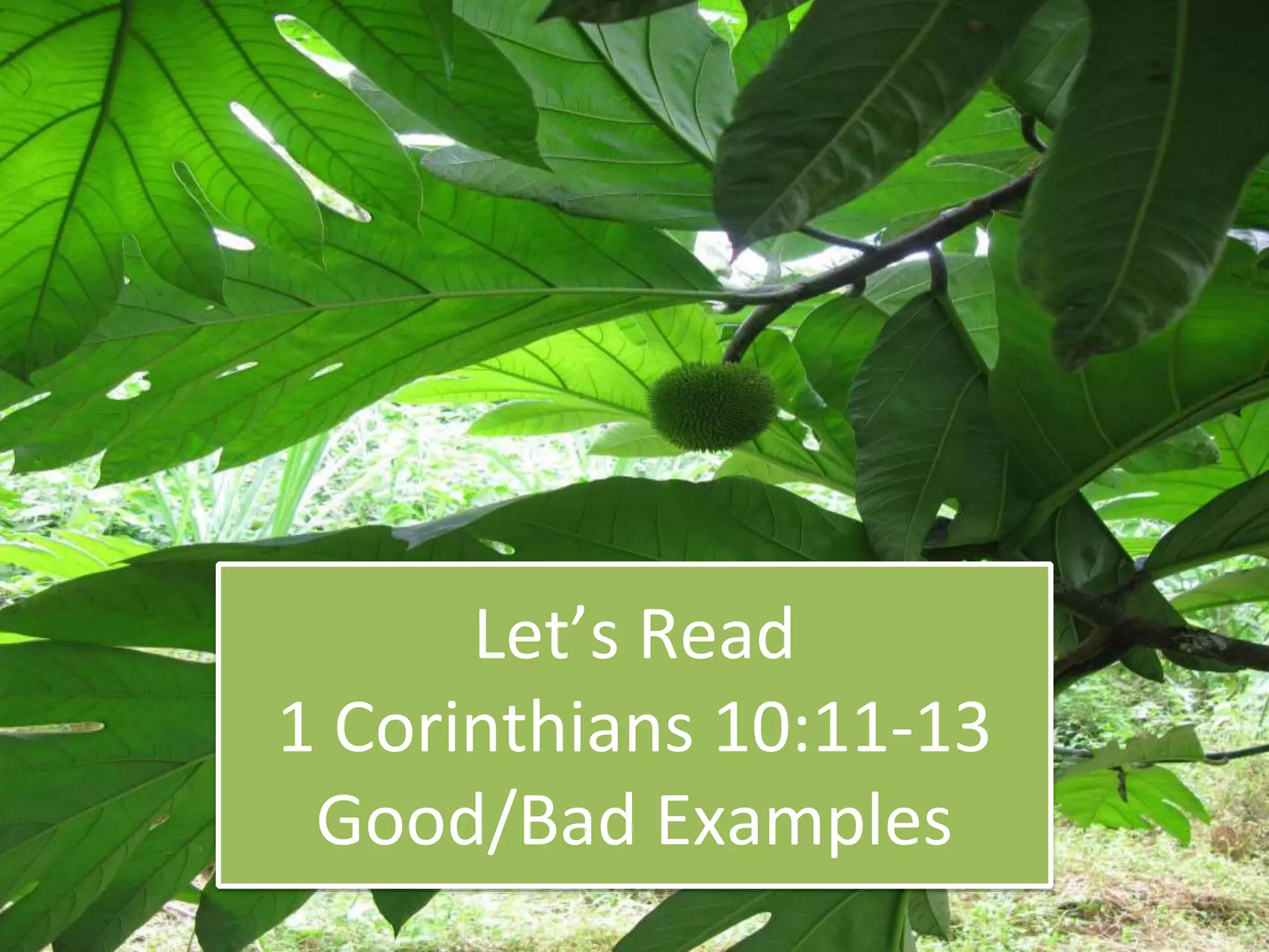 1 Corinthians 10;11-33, Scripture is example; OT NT Bible Cross References; Love Help One ...