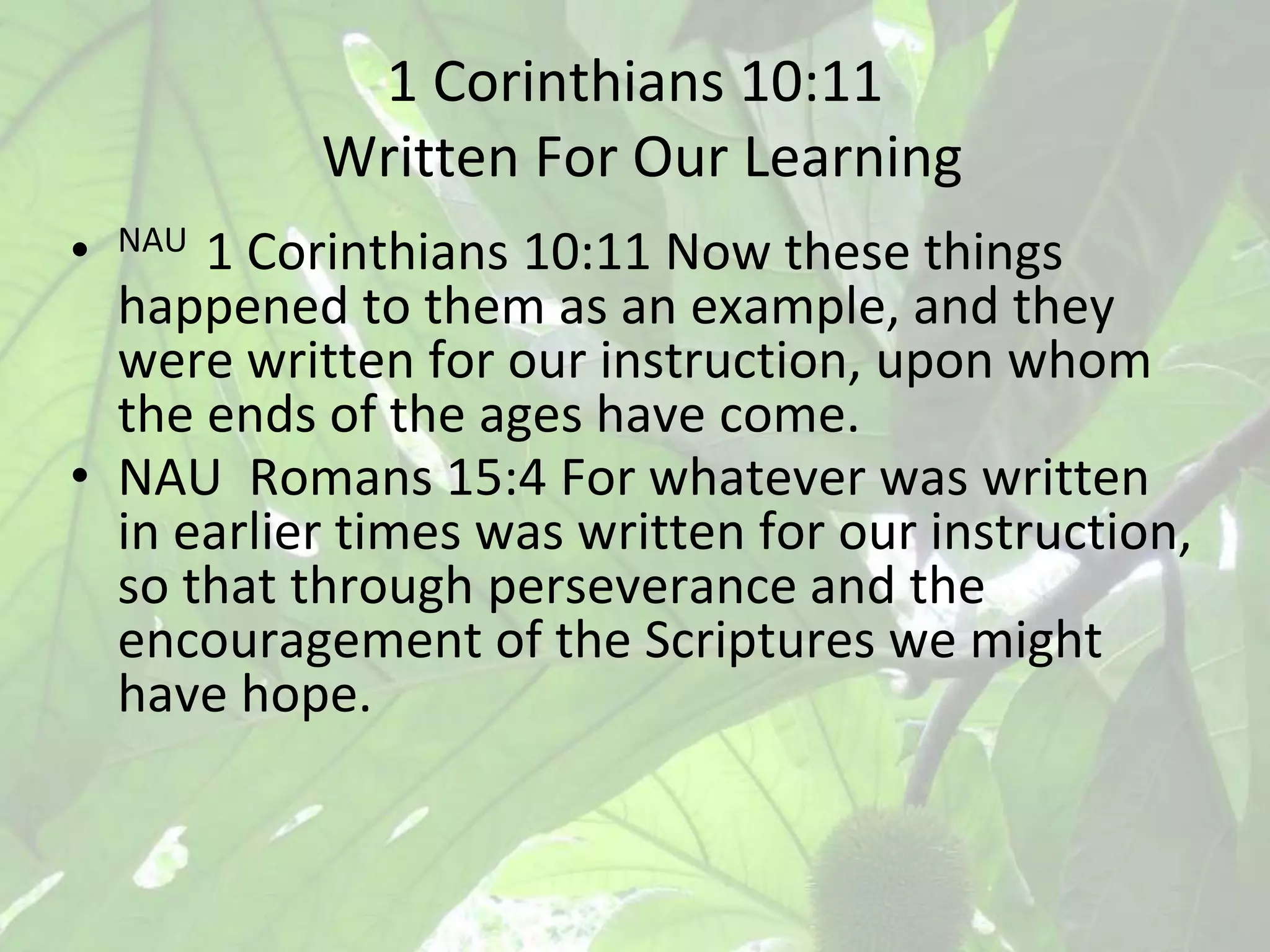 1 Corinthians 10;11-33, Scripture is example; OT NT Bible Cross References; Love Help One ...