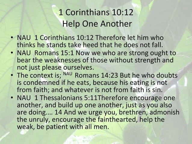 1 Corinthians 10;11-33, Scripture is example; OT NT Bible Cross References; Love Help One ...