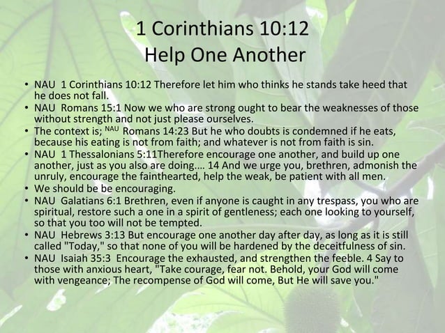1 Corinthians 10;11-33, Scripture is example; OT NT Bible Cross References; Love Help One ...