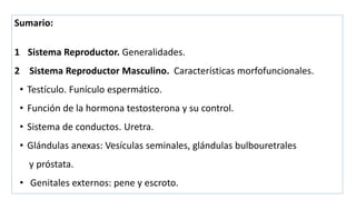 1 CO Sistema Reproductor Masculino o.pptx