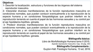 1 CO Sistema Reproductor Masculino o.pptx