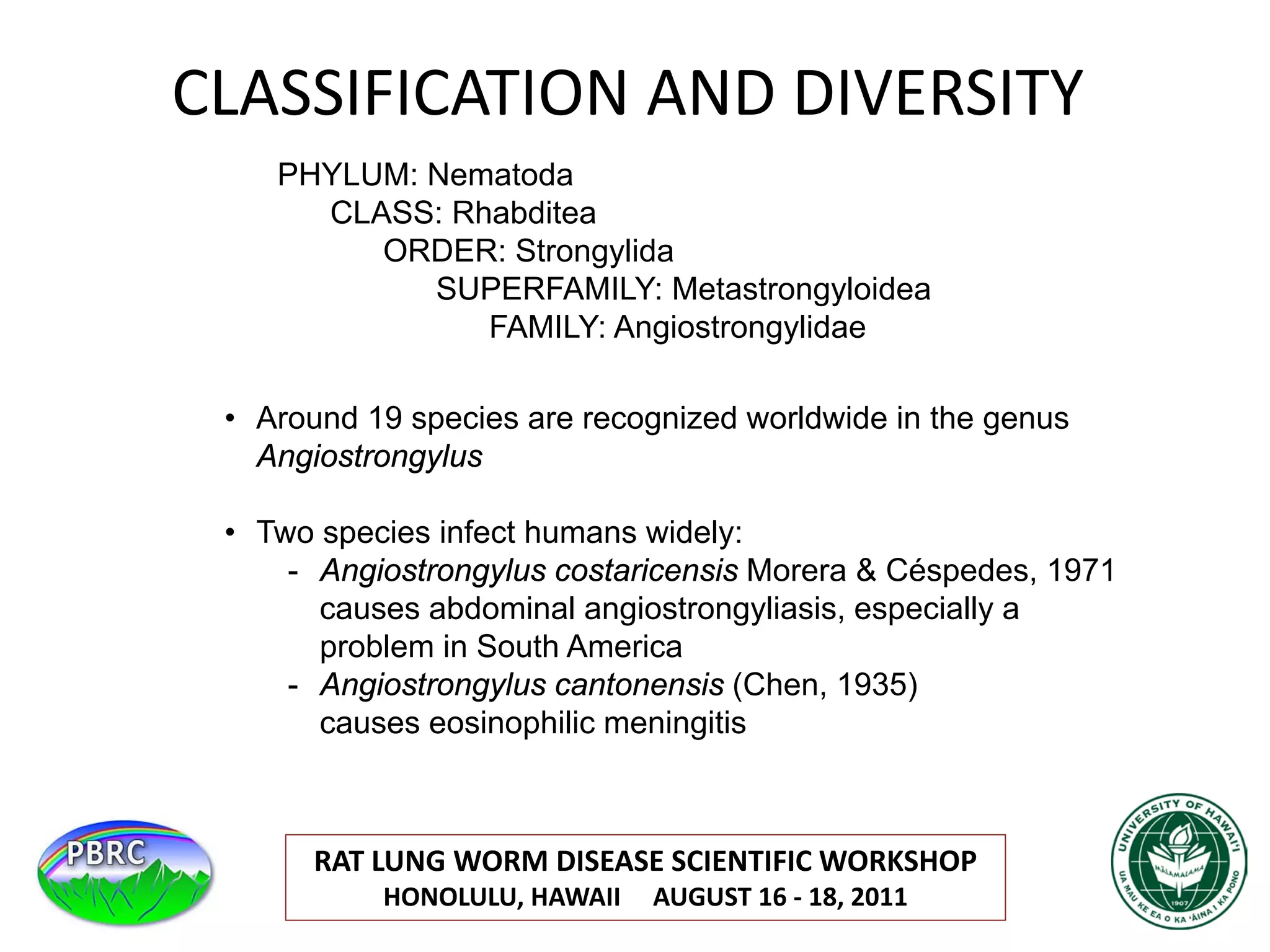 1 cowie angio workshop | PDF