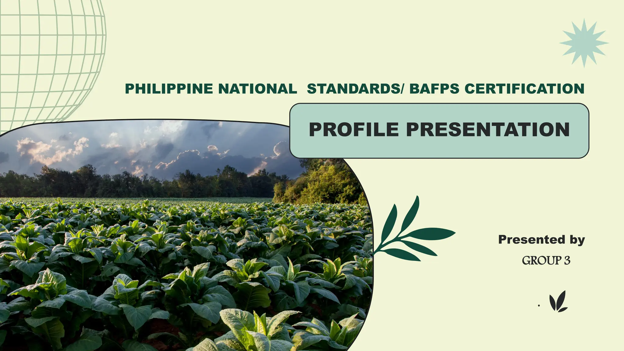 1C_PNS.pdf Philippines National standard | PDF