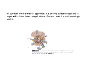 Cervical Spine anterior surgrical approach.pptx