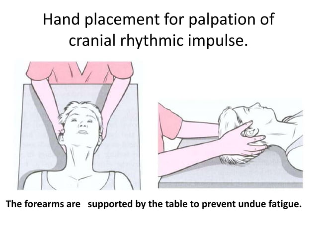 cranial manipulation | PPT