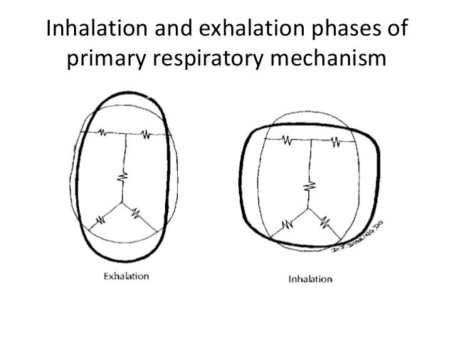 cranial manipulation