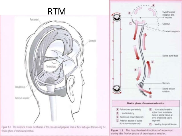 cranial manipulation